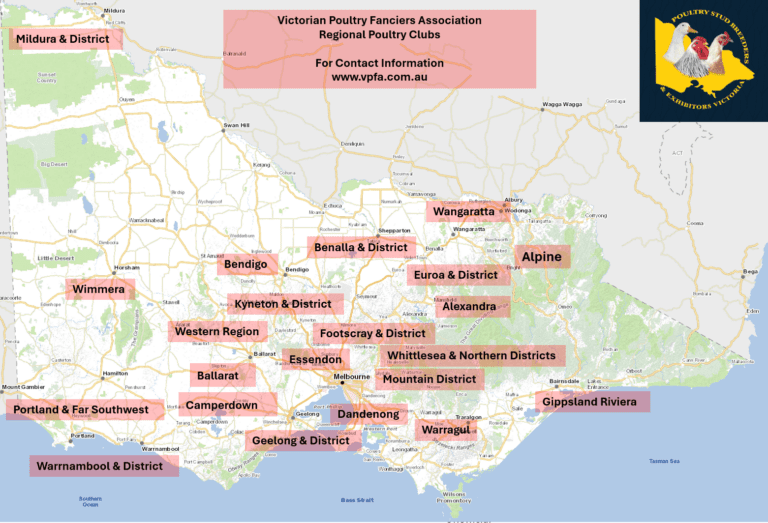 VICTORIAN POULTRY FANCIERS ASSOCIATION LTD - (V.P.F.A.) | Poultry Stud ...
